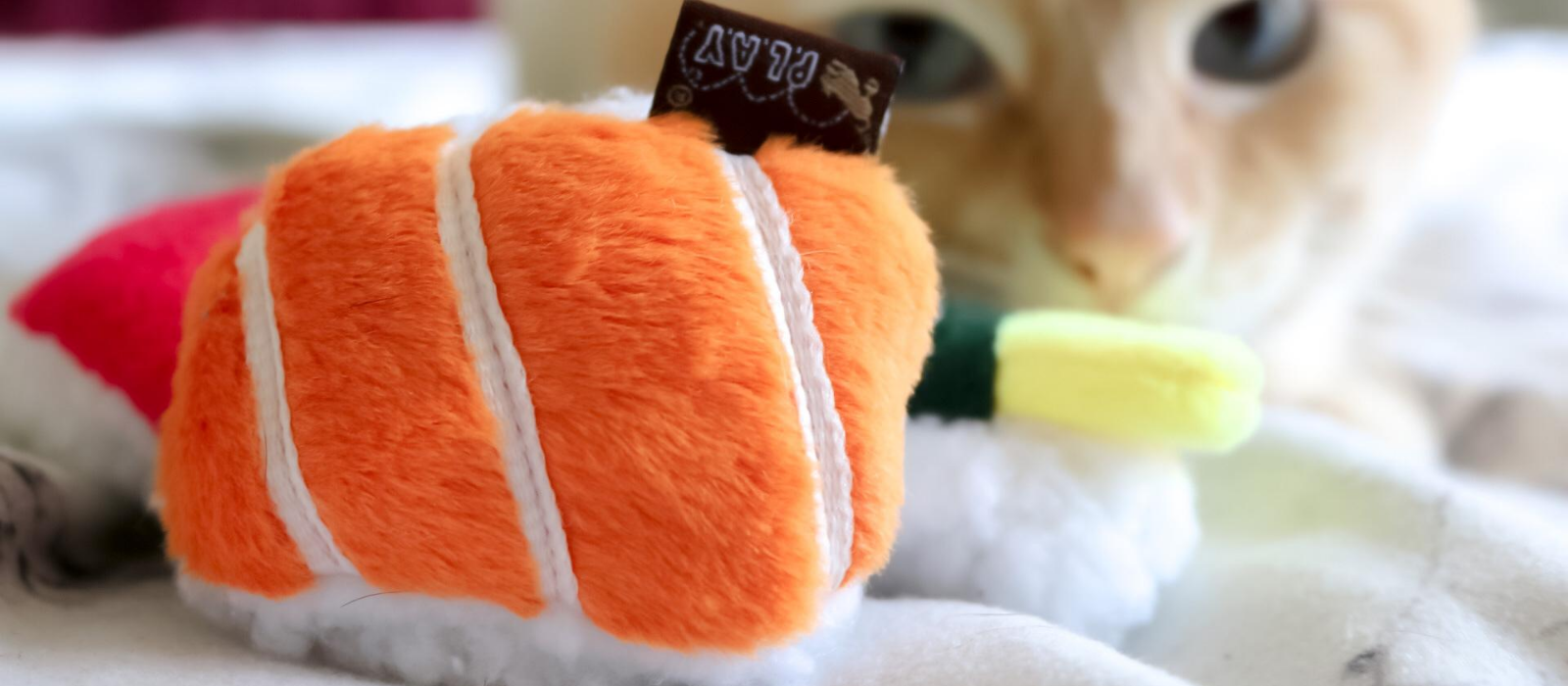 Wholesome Eats & Healthy Treats, Quality Pet Food and Supplies – Furly ...