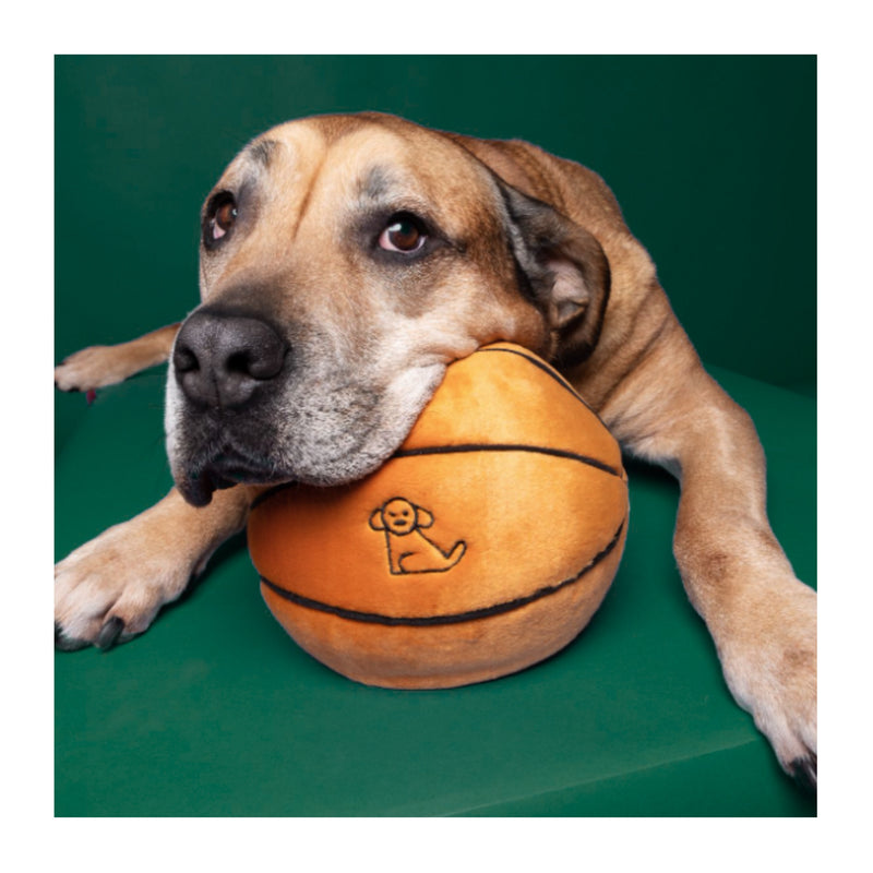 Fluff & Tuff Basketball – Furly's Pet Supply