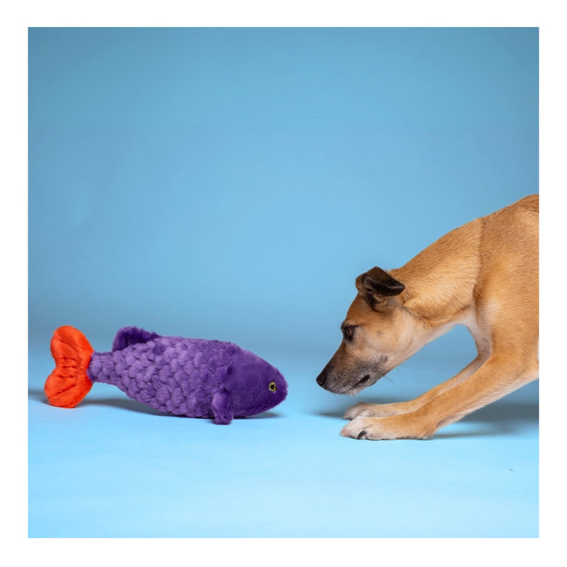 Fluff & Tuff Cici Tropical Fish – Furly's Pet Supply