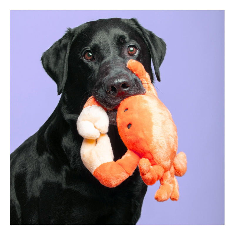 Fluff & Tuff Phyllis Crab – Furly's Pet Supply